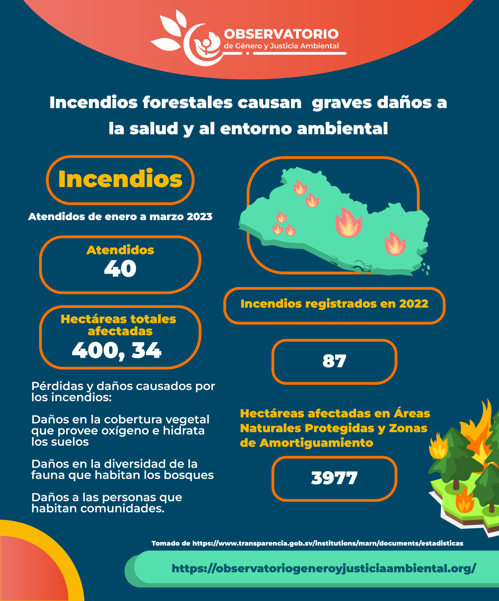 Incendios forestales causan graves daños a la salud y al entorno ...